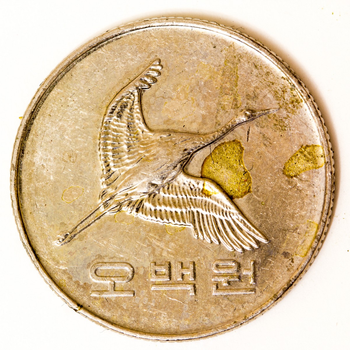 500 Won Coin Sean s Photos 500-won-coin-sean-s-photos